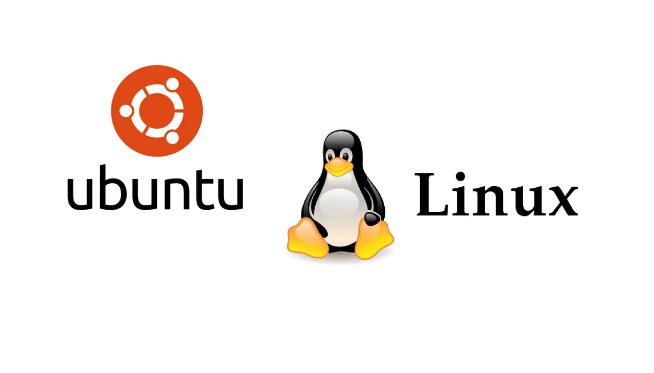 Linux'ta Ubuntu'da Çalışan Erp Programı - Mavvo Blog
